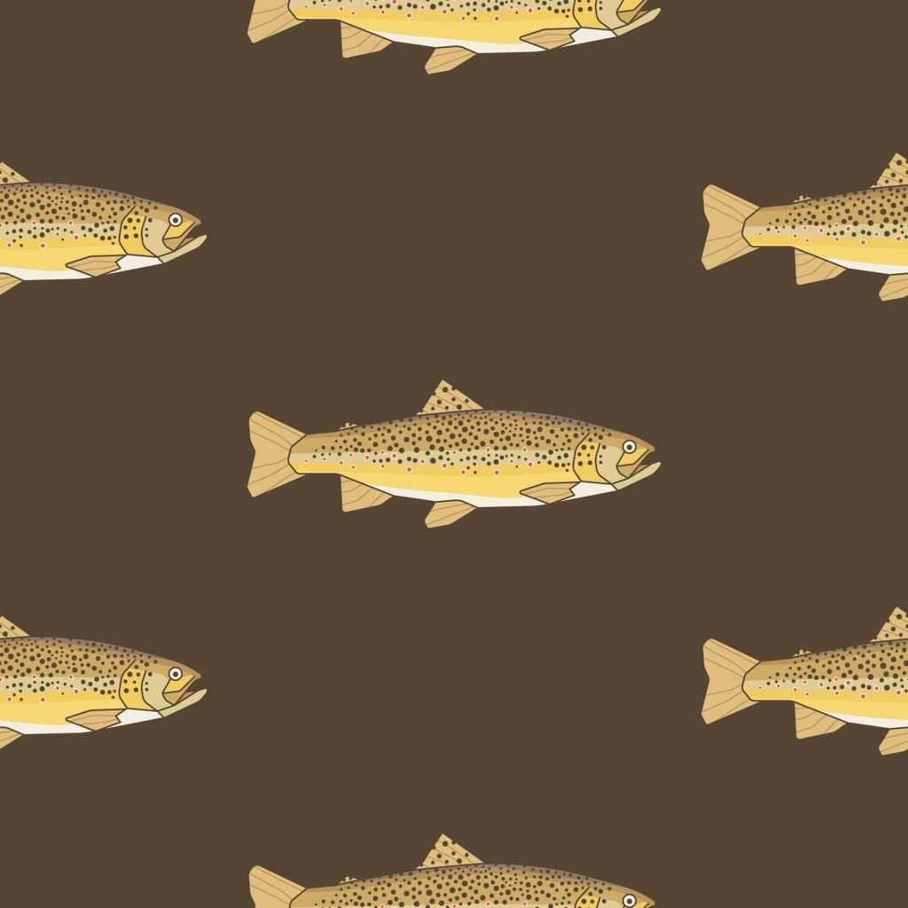 Brown Trout Desktop Backgrounds